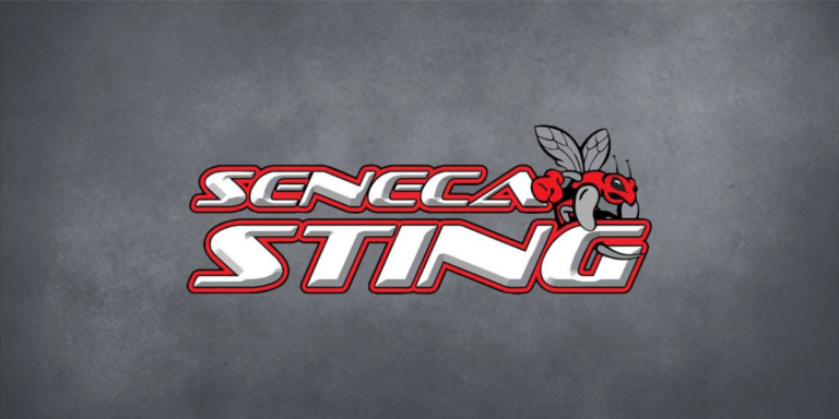 Job Opportunity: Head Coach, Women's Basketball - Seneca Sting ...